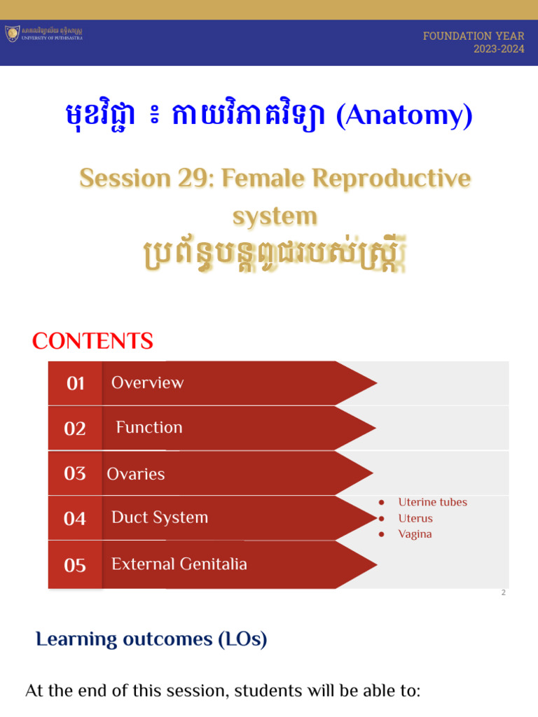 S29-Female Reproductive system | PDF | Ovary | Uterus