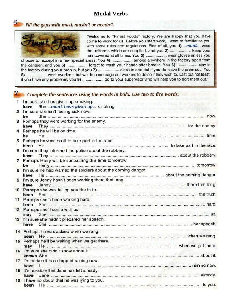 Understanding Modal Verbs: A Guide | PDF