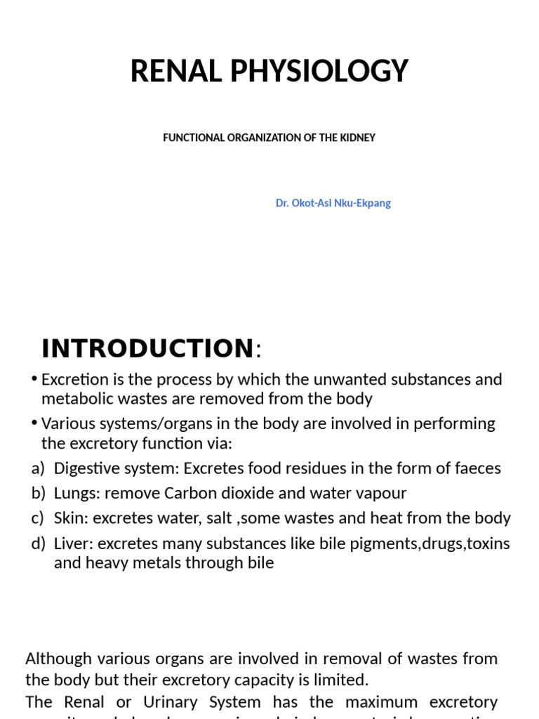 Introduction To Renal Physiology-1 | PDF | Kidney | Urinary System