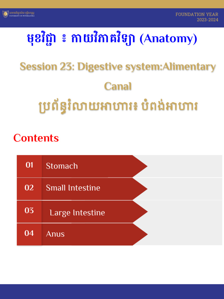 S23-Digestive System - Alimentary Canal | PDF | Stomach ...