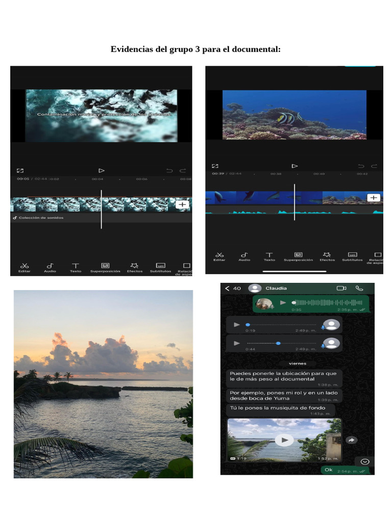 Evidencias del grupo 3 para el documental | PDF