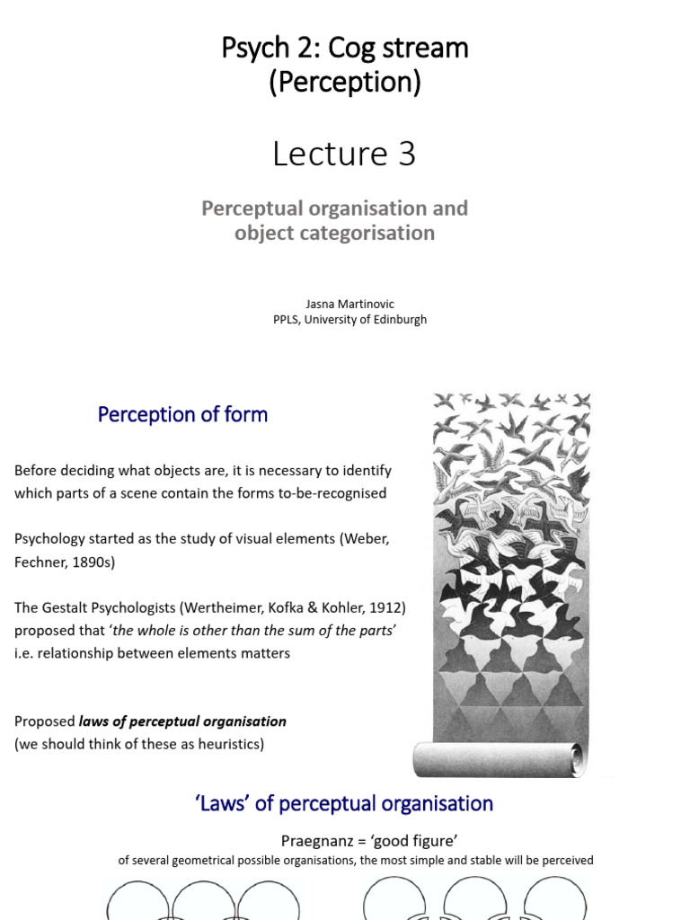 2a - lecture3 - perception - objects | PDF | Perception | Behavioural ...