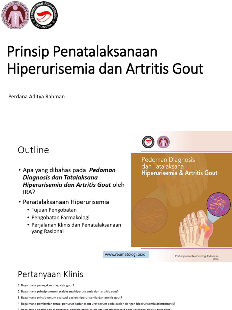 Prinsip Penatalaksanaan Hiperurisemia Dan Artritis Gout - IRA 2024 | PDF