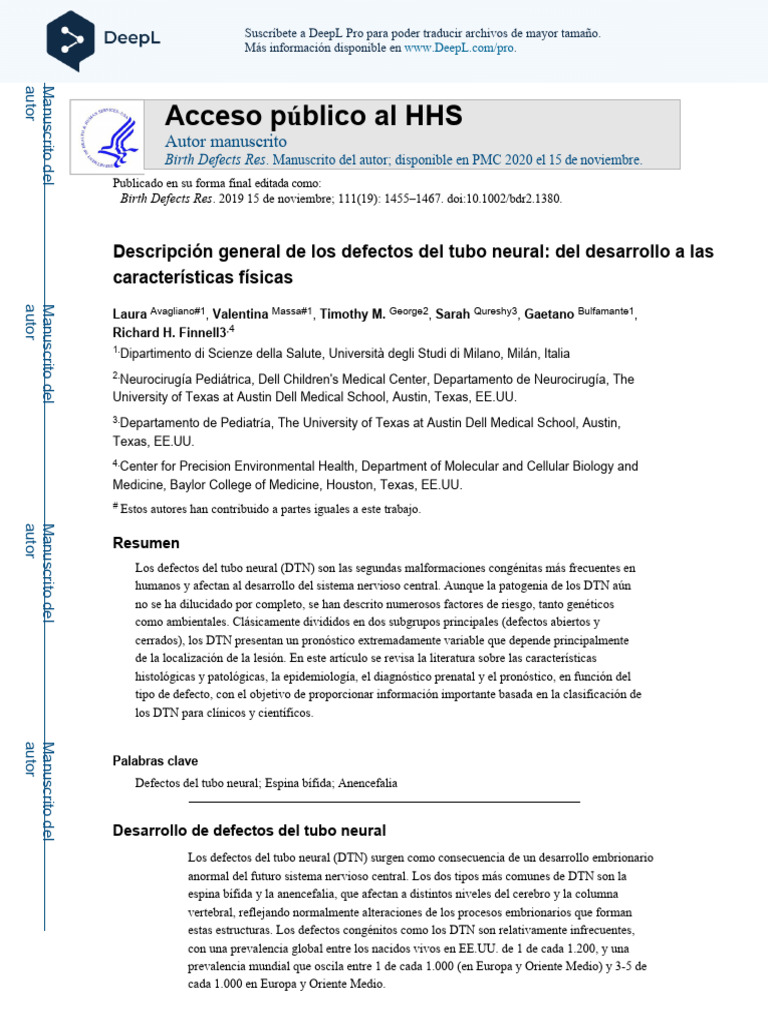 SNC - 2 Es | PDF | Anatomía | Especialidades Medicas