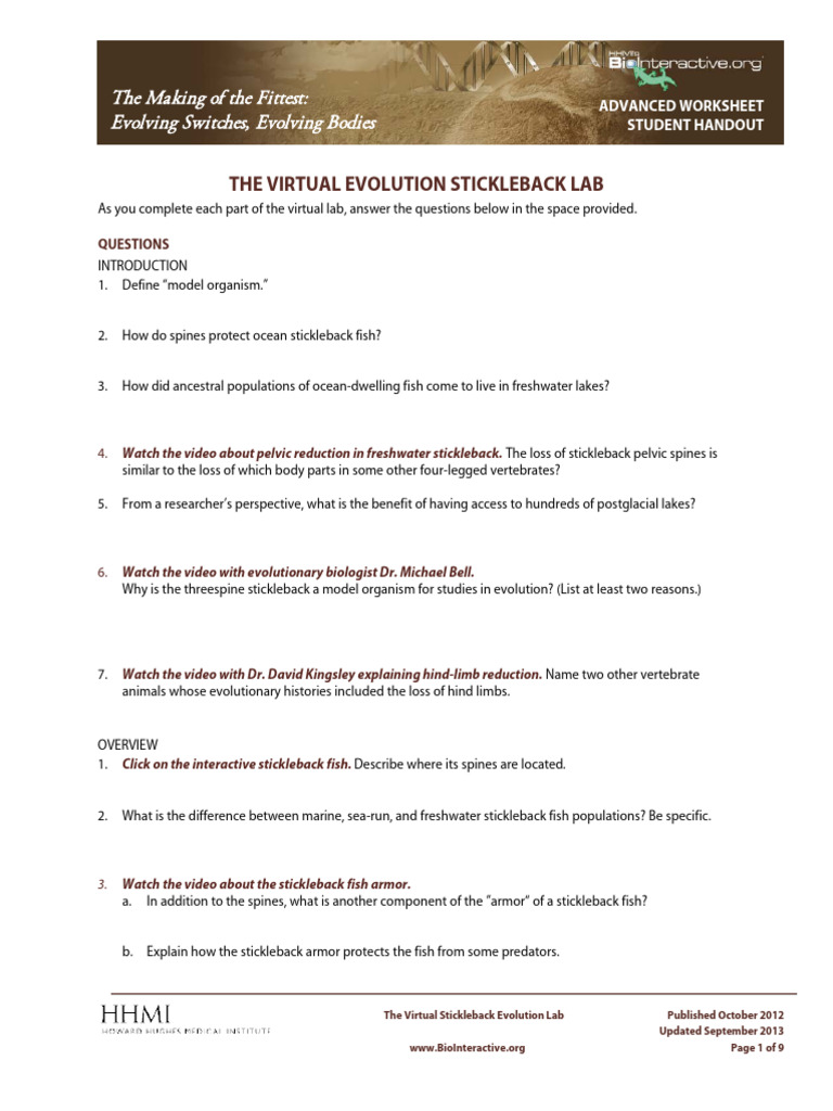 Stickleback Evolution Lab Worksheet1 | PDF | Pelvis | Fish