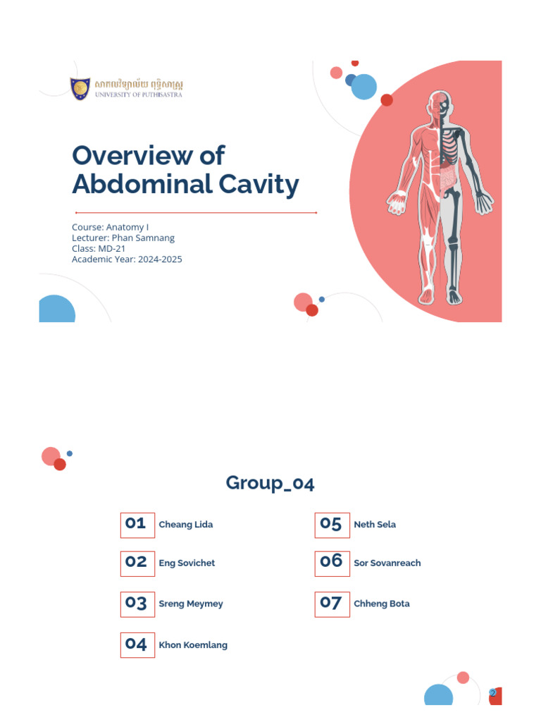 Prof. Phan Samnang-Abdominal Cavity-Group4 | PDF | Abdomen | Peritoneum
