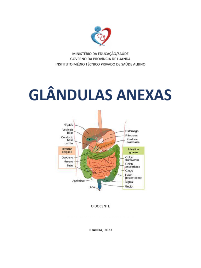 Gland Ulas | PDF | Corpo humano | Tireoide