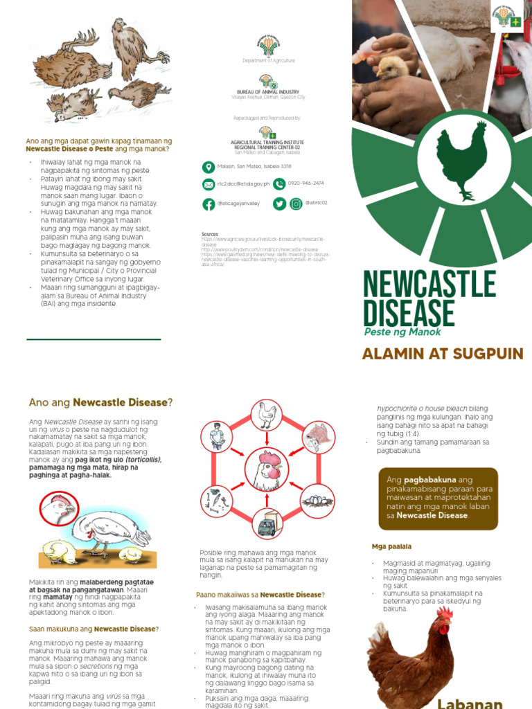 New Castle Disease FINAL | PDF