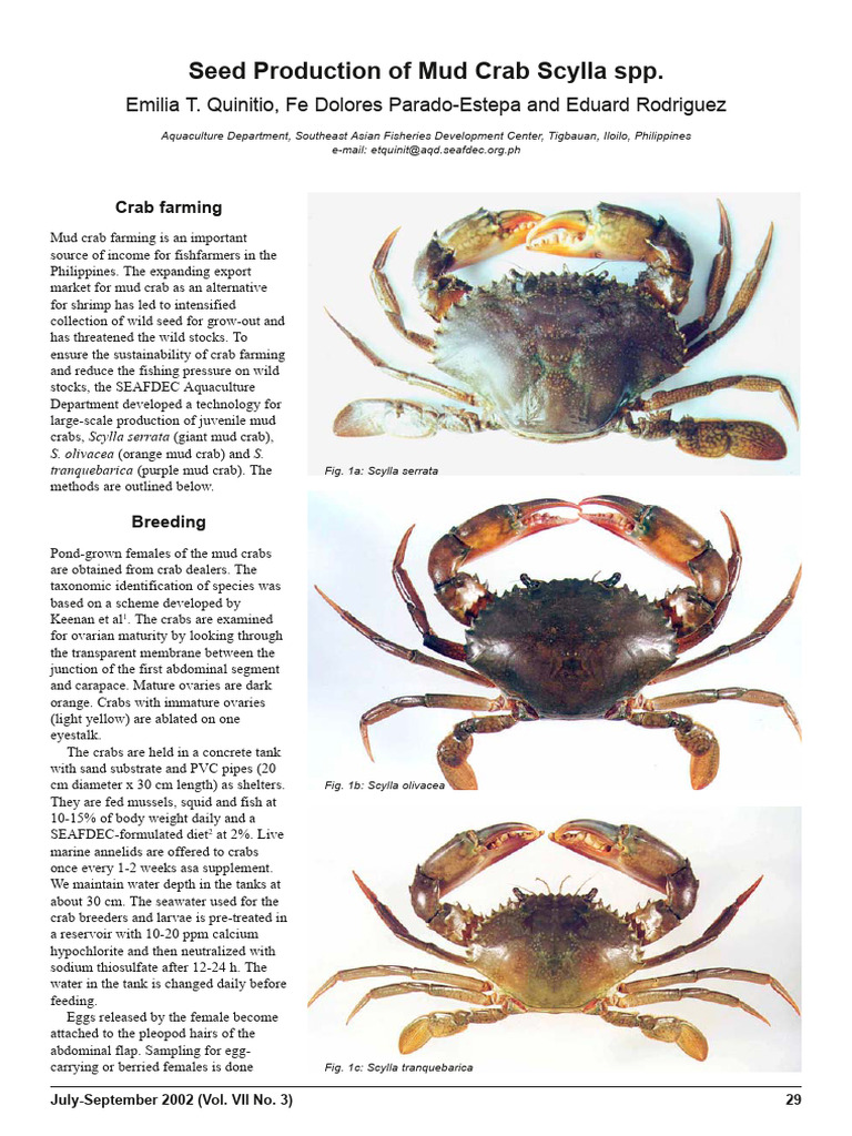 Mud Crab Seed Production Techniques | PDF | Crab | Fertilizer