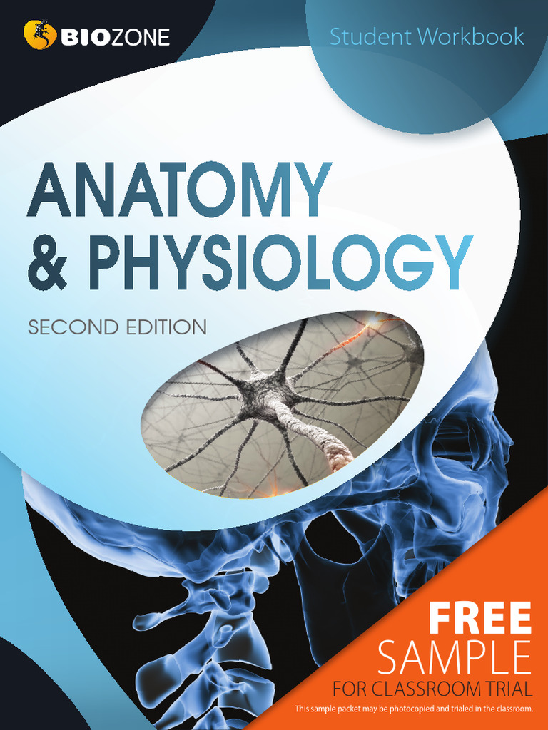 BIOZONE Anatomy & Physiology Sample Packet | PDF | Vertebral Column ...