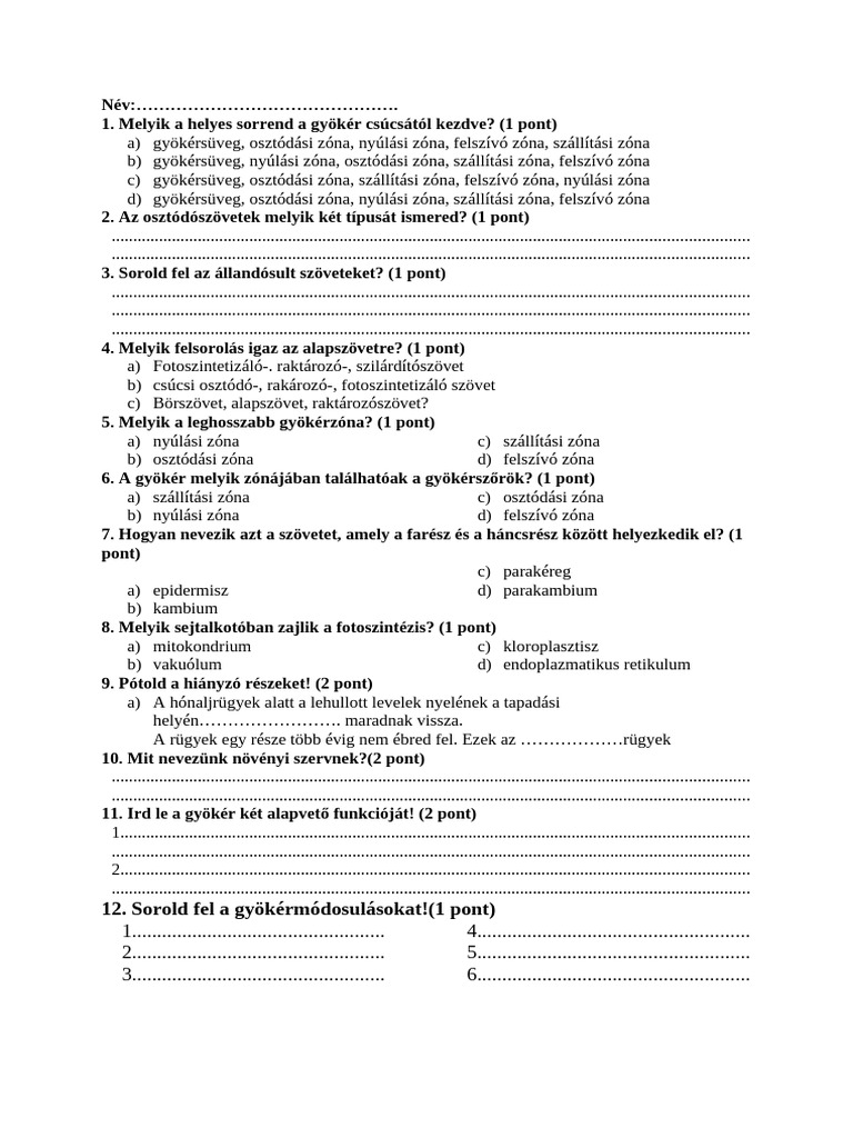 6 Level Feladatlap | PDF