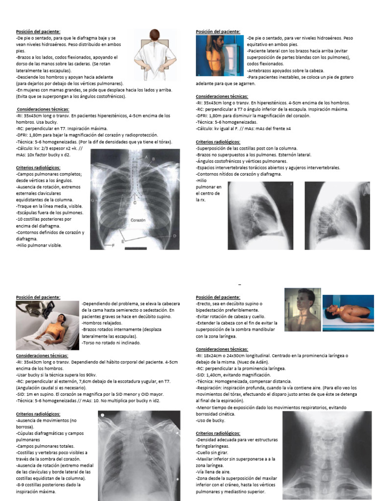 Compilado de Proyecciones TR3 | PDF | Pelvis | Tórax