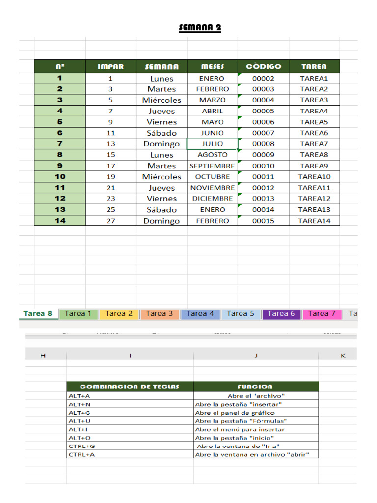 Semana 2, Excel | PDF