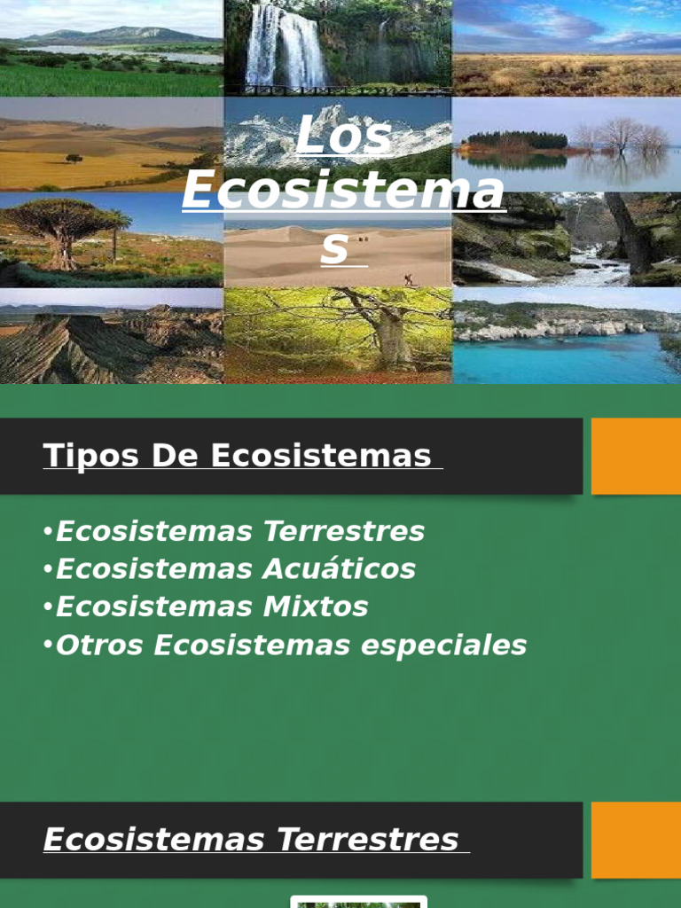 Lo Ecositema | PDF