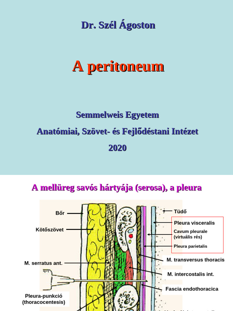 Szel Peritoneum HU 2020 | PDF