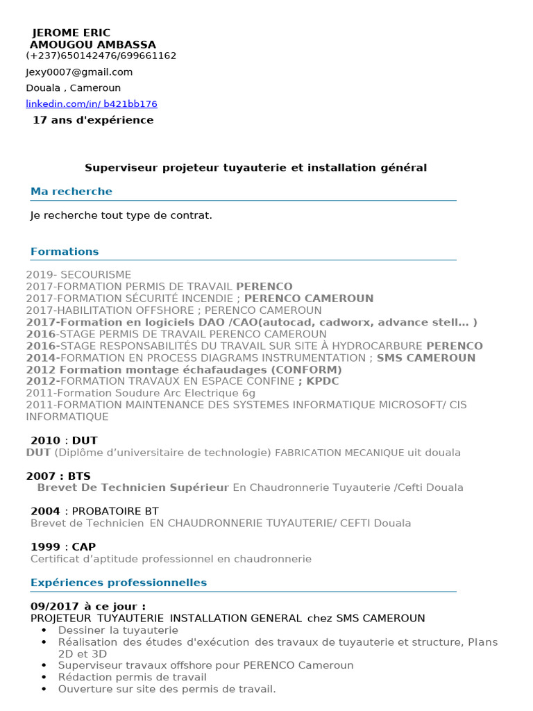 CV de Jérôme Eric Amougou Ambassa | PDF