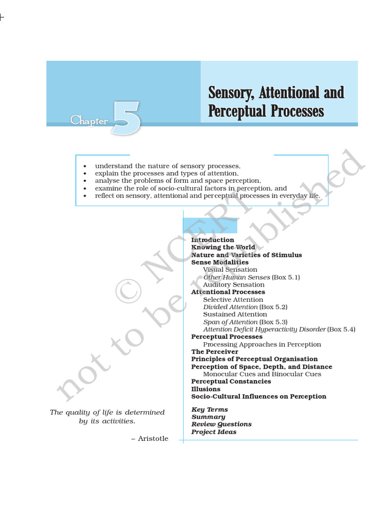 Psy ch 5 | PDF | Senses | Perception