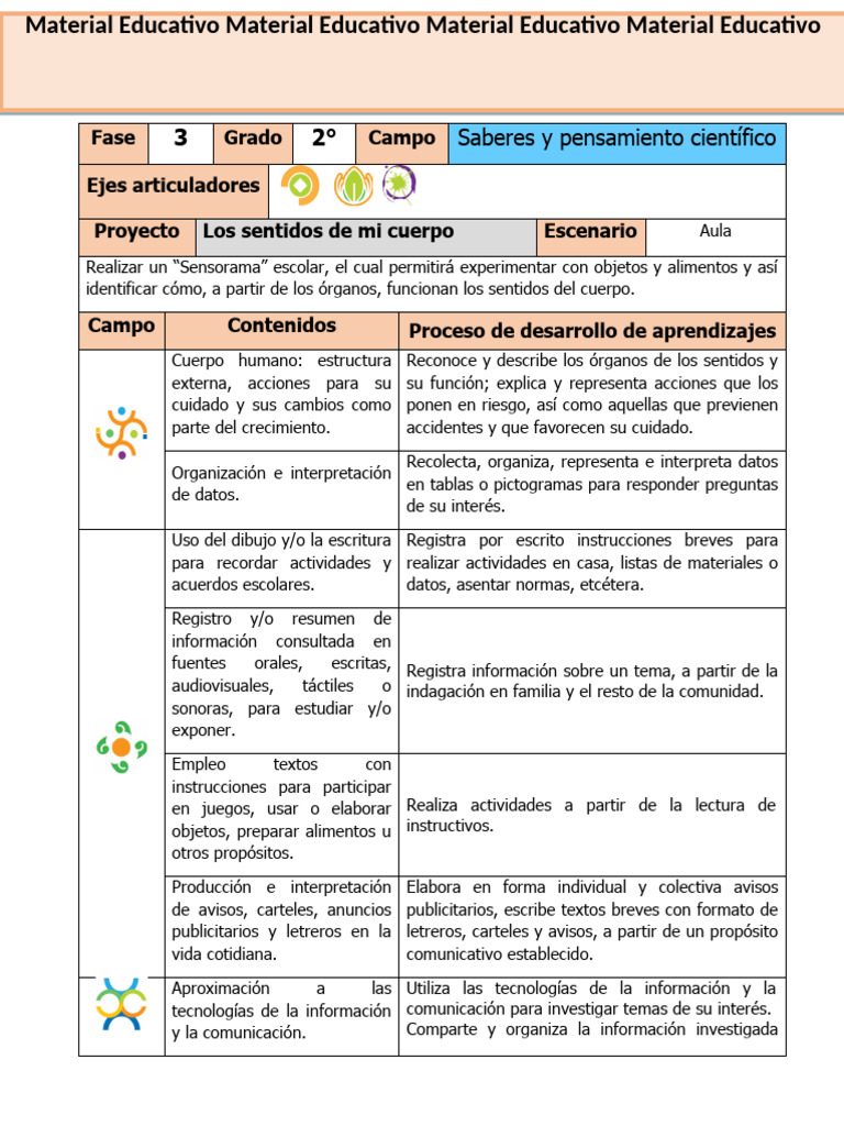 Proyecto 5 - Los Sentidos de Mi Cuerpo | PDF | Evaluación | Sentidos