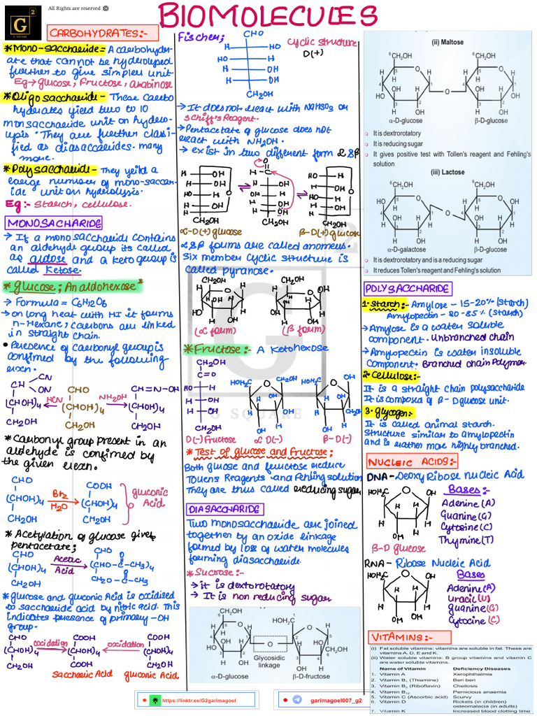 Biomolecules 12th Class 14th Chapter | PDF