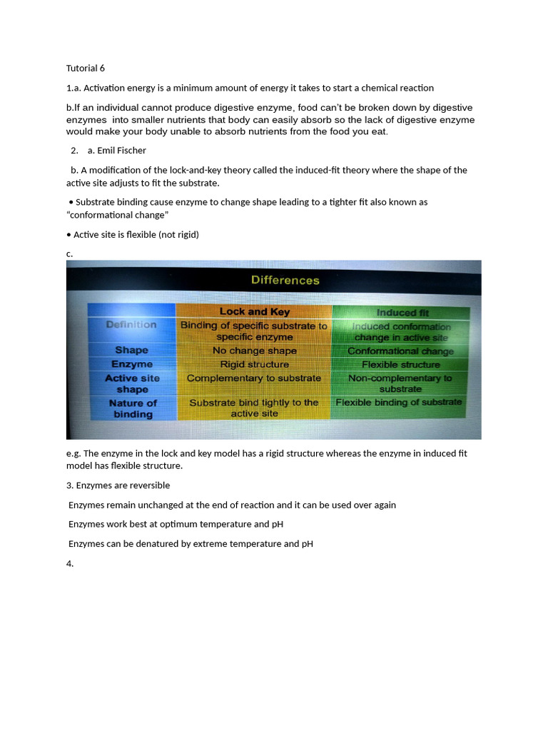 Tutorial 6 Biology | PDF