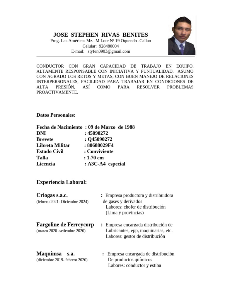 Currículum de Conductor Experto en Distribución | PDF | Business ...