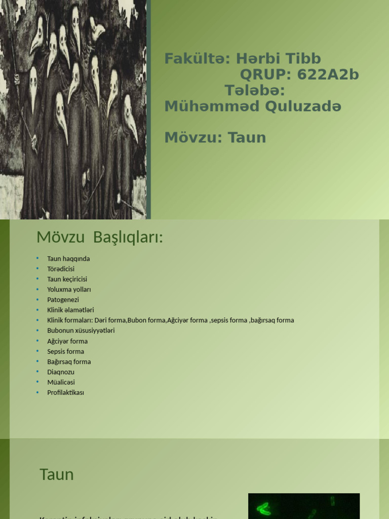 Taun | PDF