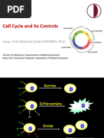 POGIL Activities For AP Biology - Cell Cycle and Regulation | PDF ...
