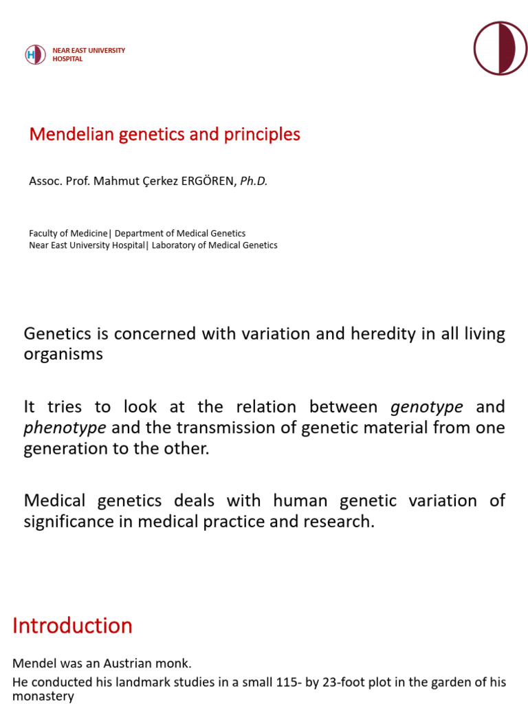 19 DR - Ergoren - Mendelian Genetics | PDF | Dominance (Genetics ...