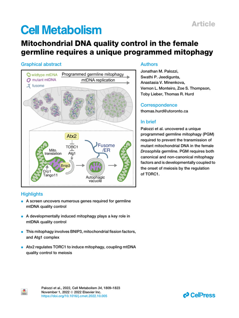 PIIS1550413122004569 (Thomas Hurd) | PDF | Mitochondrial Dna | Mutation