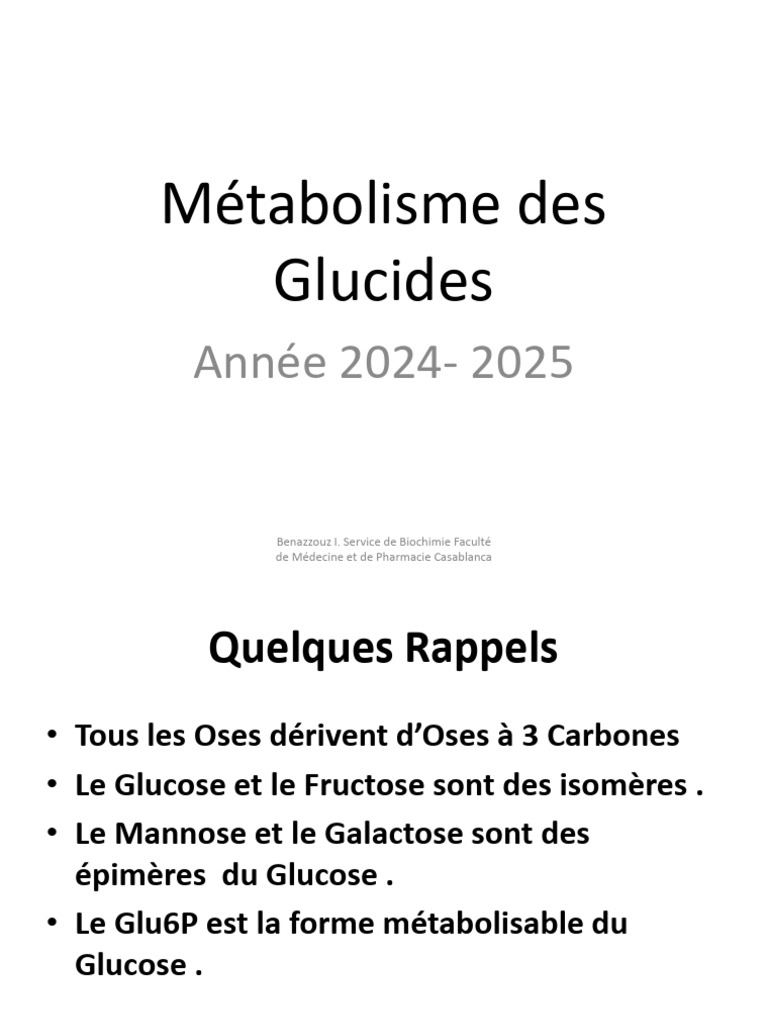 Métabolisme Des Glucides Année 2023-2024 | PDF | Acide pyruvique | Glucose
