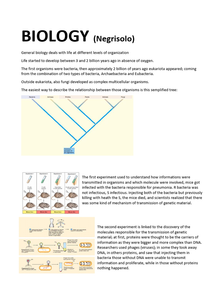 Biology Study | PDF | Meiosis | Mitosis