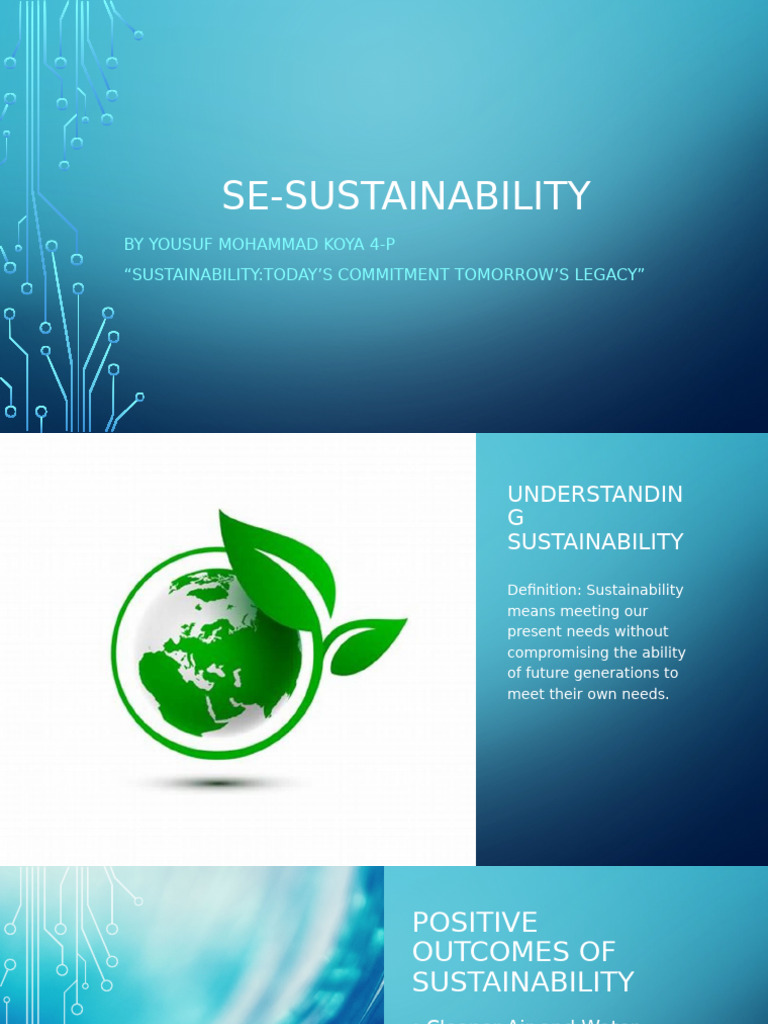 Sustainability | PDF