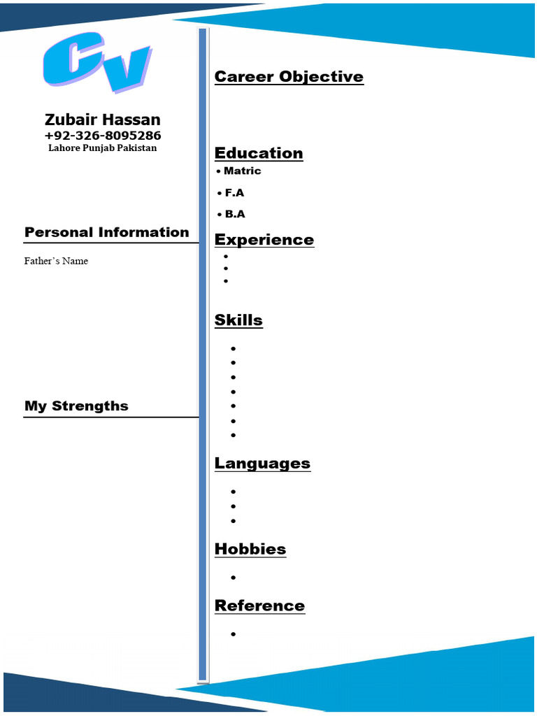 Zubair Hassan Cv_2 | PDF