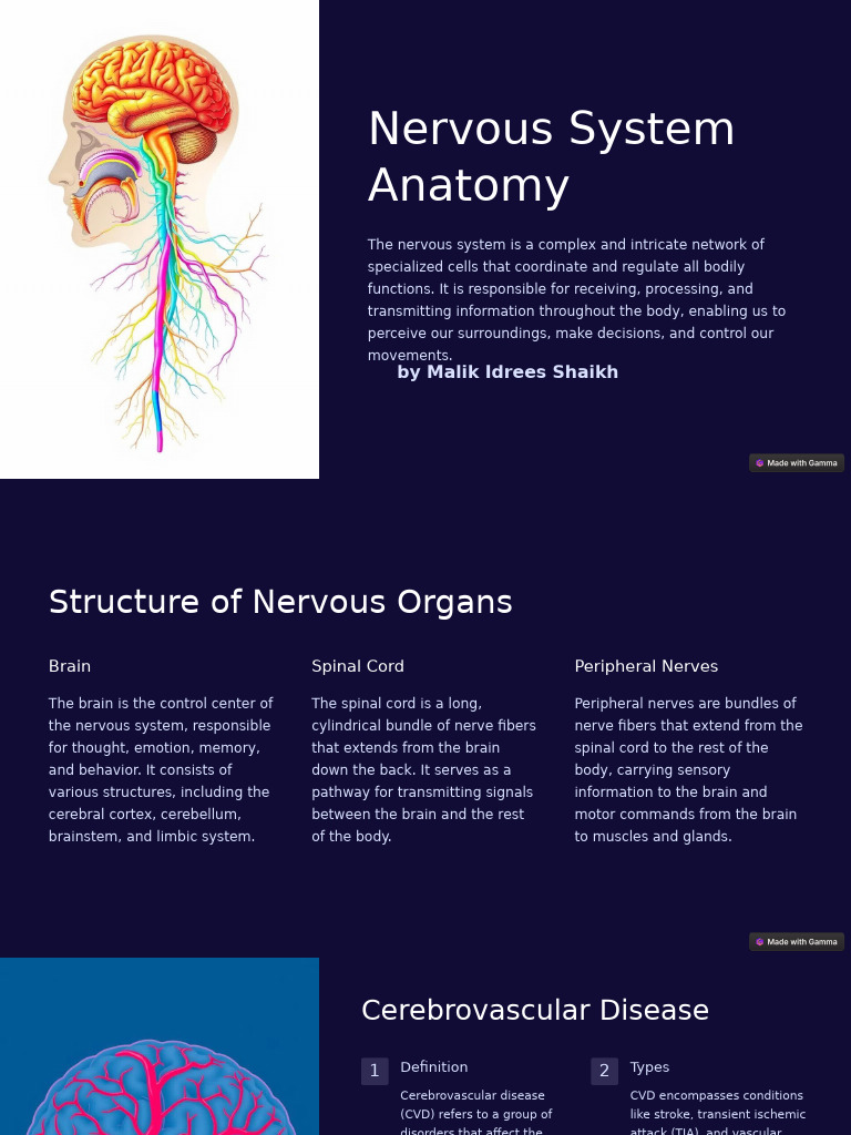 Nervous System Disorders Overview | PDF | Nerve | Meningitis