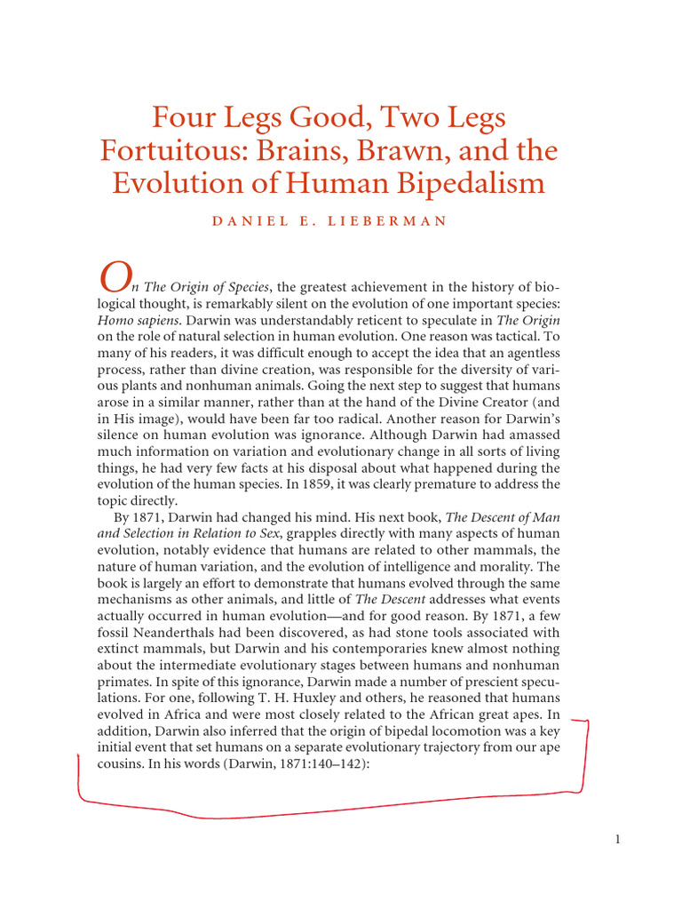 2010g | PDF | Bipedalism | Human Evolution