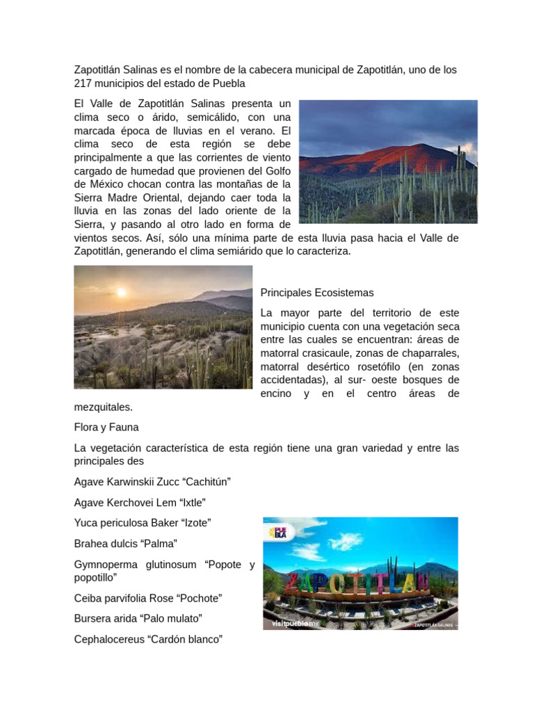 Clima y ecosistemas de Zapotitlán Salinas | PDF | Geografía Física ...