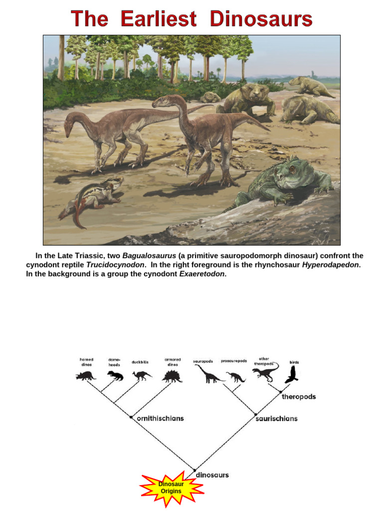 6.1 The Earliest Dinosaurs | PDF | Dinosaurs