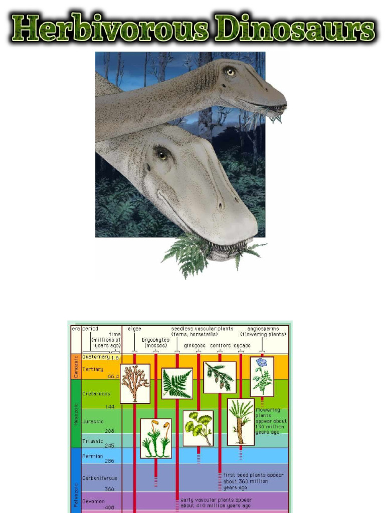 Dinosaurs and Their Plant Diets | PDF | Tooth | Fern
