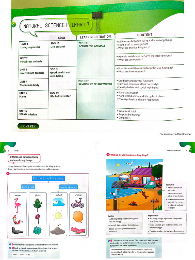 Units 1 2 Natural Science | PDF
