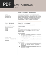 Big 4 CV Template Guide | PDF