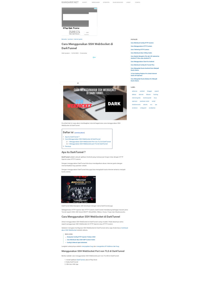 Cara Menggunakan SSH WebSocket Di DarkTunnel | PDF