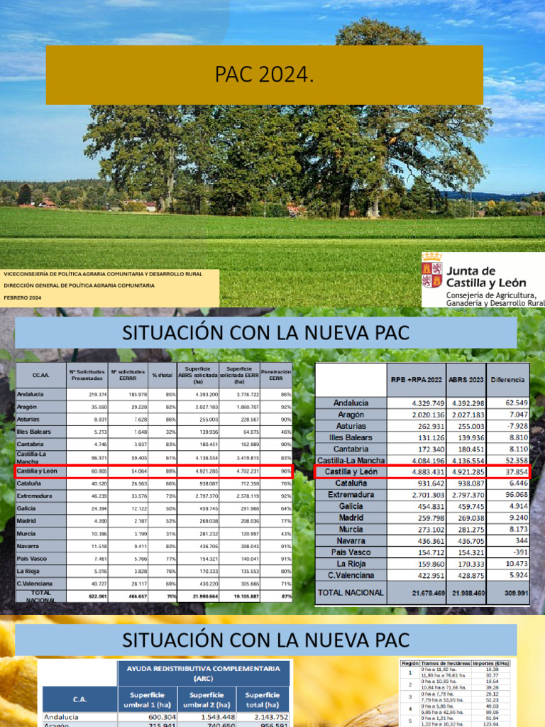 Situación+PAC+2024 (2) | PDF | Agricultura | Pasto