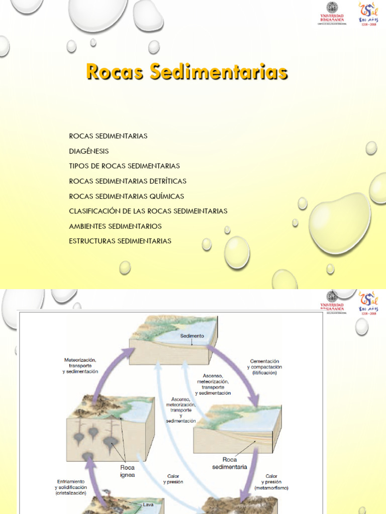 Rocas Sedimentarias | PDF | Roca (geología) | Roca sedimentaria