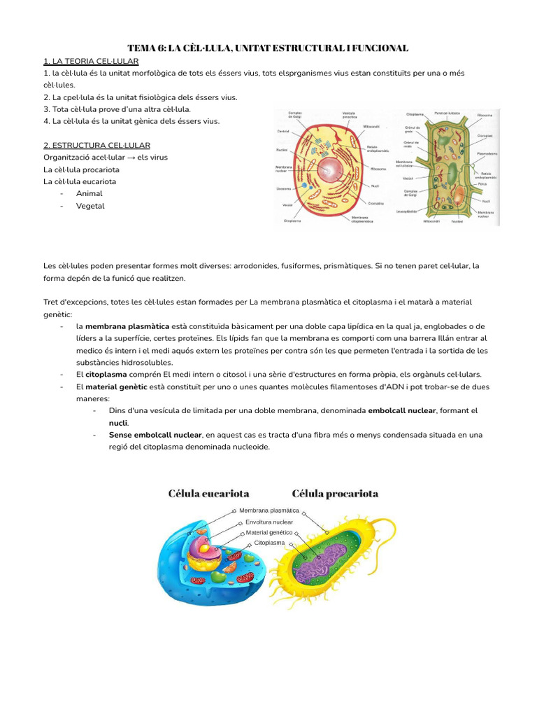 Wuolah Free Tema 6 La Cel Lula Unitat Estructural I Funcional Gulag Free | PDF
