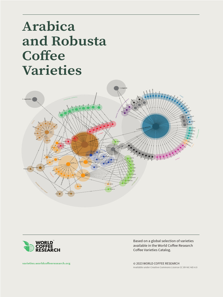 DIGITAL Coffee Varieties Poster 24x36 | PDF | Coffee | Drink