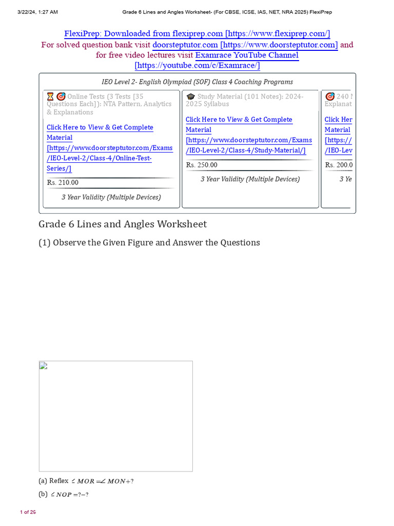 Grade 6 Lines and Angles Worksheet | PDF | Angle | Geometry