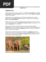 Proboscidea - Wiki | PDF | Proboscideans | Mammal Orders