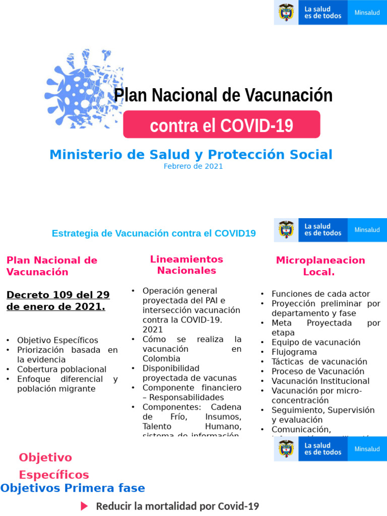 10 . 2021-02- 05 PMU Plan Nacional y lineamientos PAI 2021 6 am | PDF ...