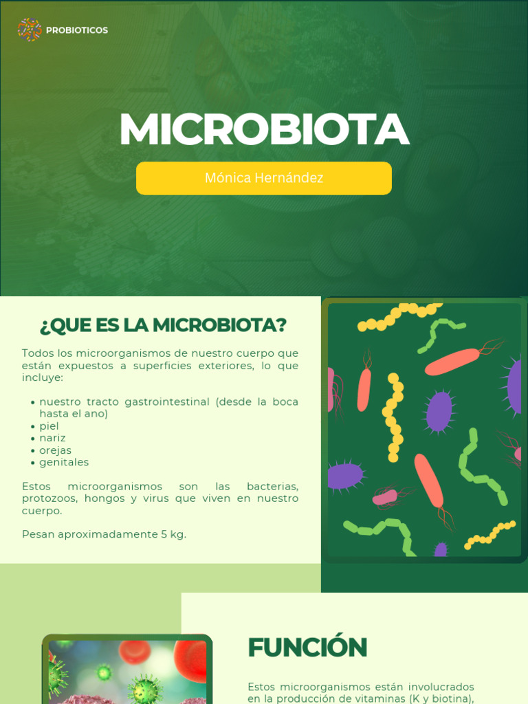 MICROBIOTA | PDF | Fermentación | Alimentos