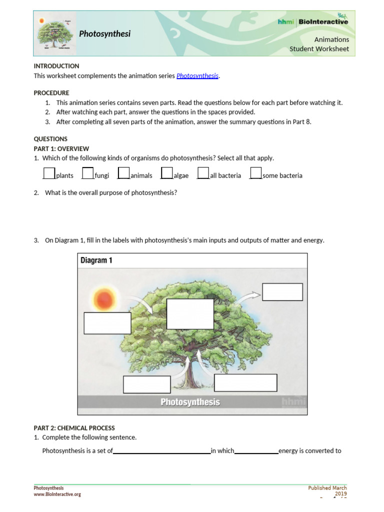 Photosynthesis Assignment | PDF